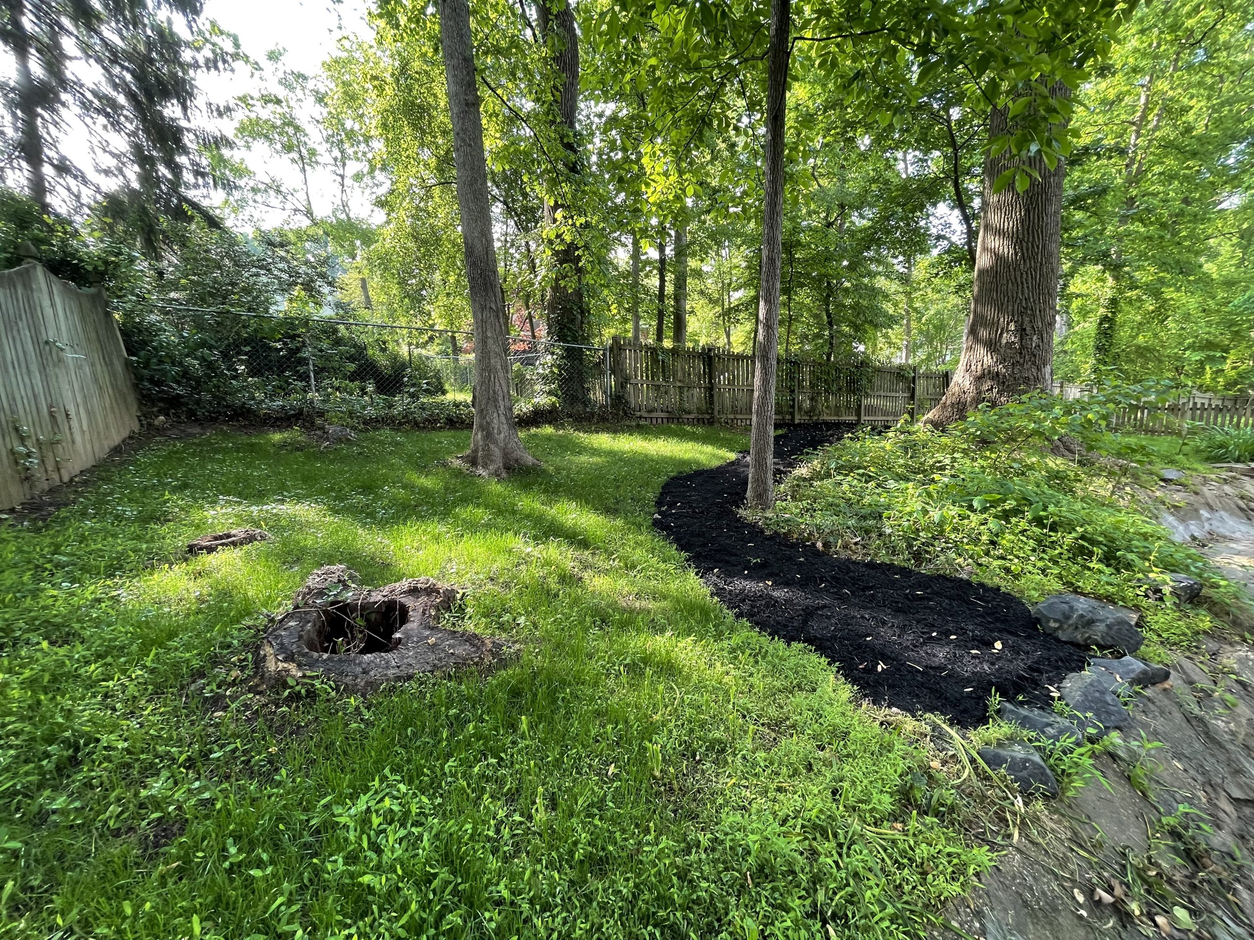 Building a Forest - Secret Wilderness